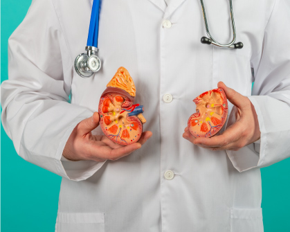 Understanding the Stages of Kidney Cancer_ What Each Stage Means for ...